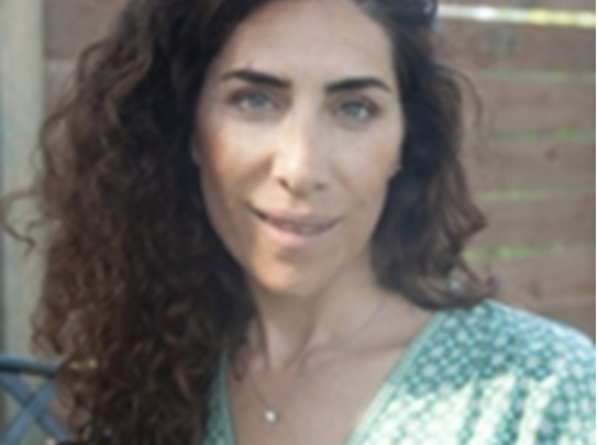 Different Zionisms led by Northwestern University Professor Dr.Maayan ...